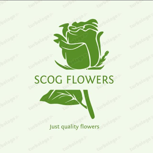Fresh Summer Cut Flowers | Scog Flowers